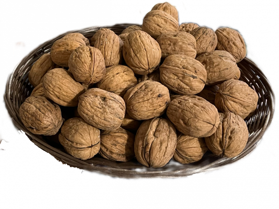 Walnuts in Shell - Fatma Food - Grocery Delivery in Surrey